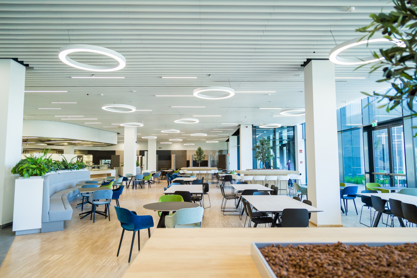 Bosch Budapest Innovációs Kampusz – átadták Magyarország legújabb ...